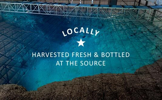 Blue Spring Living Water 16.9oz 12-Pack