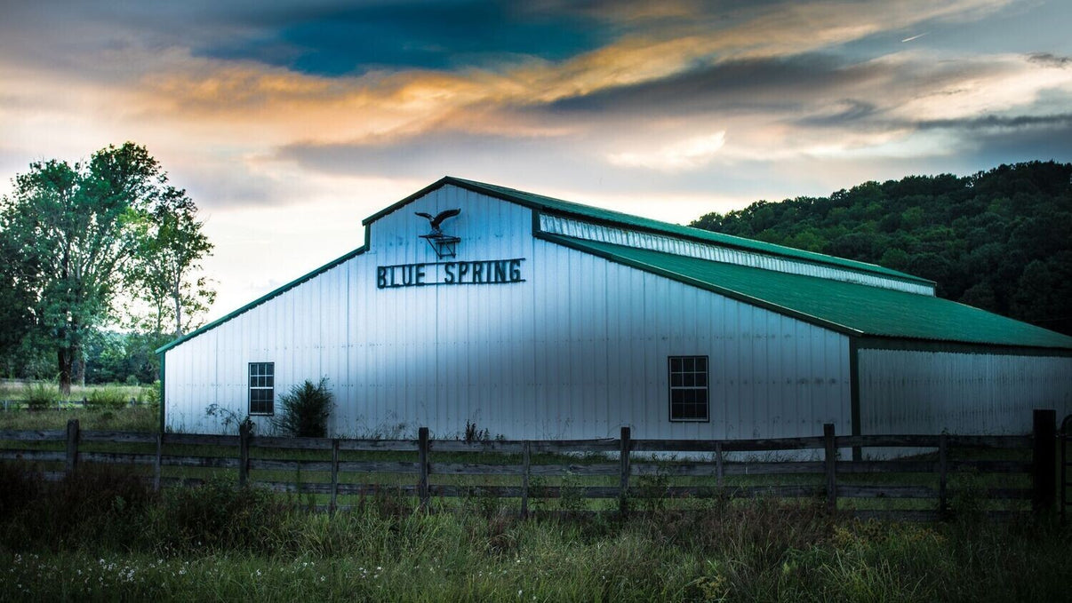 Blue Spring Living Water 16.9oz 12-Pack