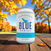 The Best Spring Water in the United States | Blue Spring Living Water