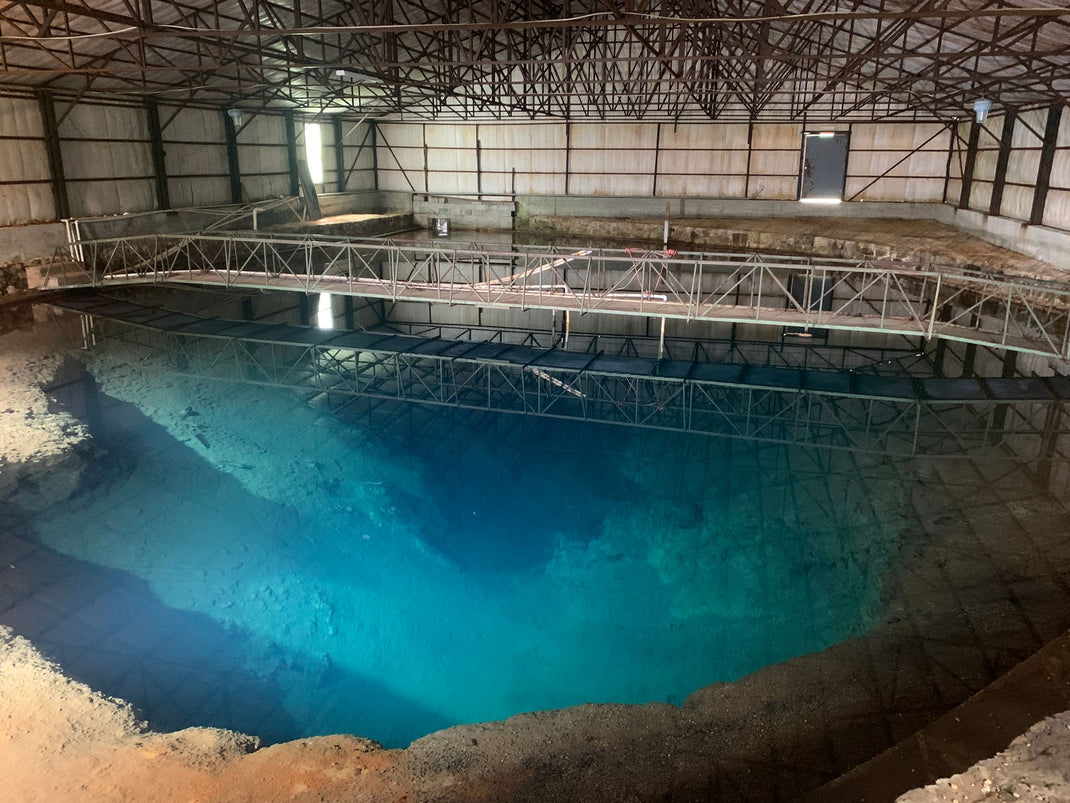 Blue Spring Living Water - THE BEST Spring Water 💙💧