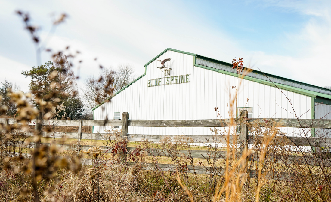 Blue Spring Living Water - THE BEST Spring Water 💙💧